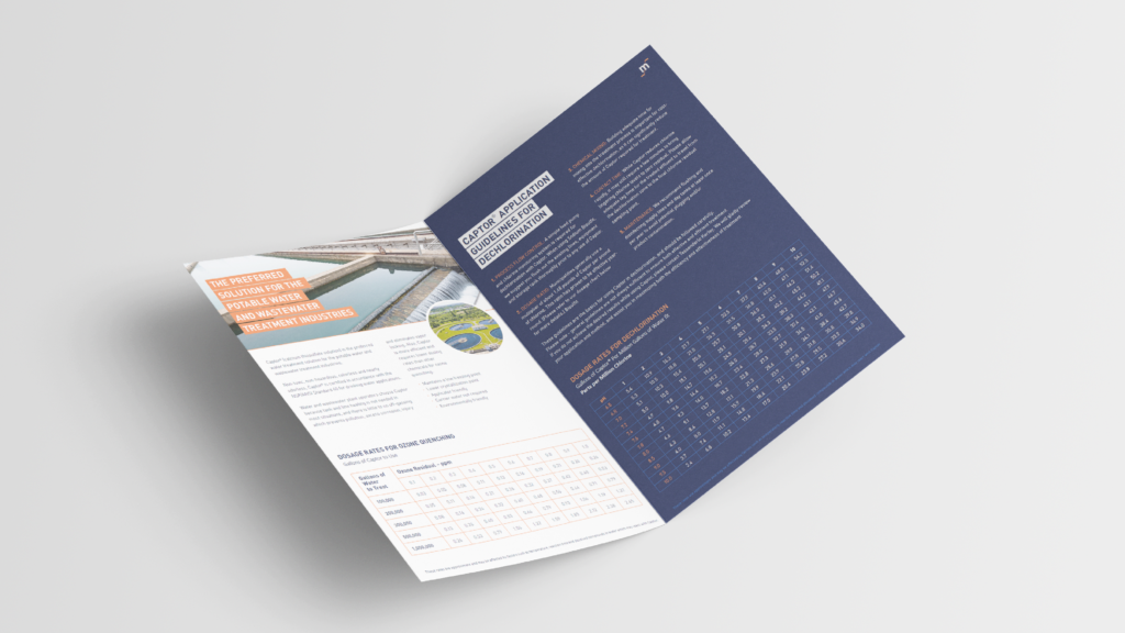 Moleko - Cake Creative